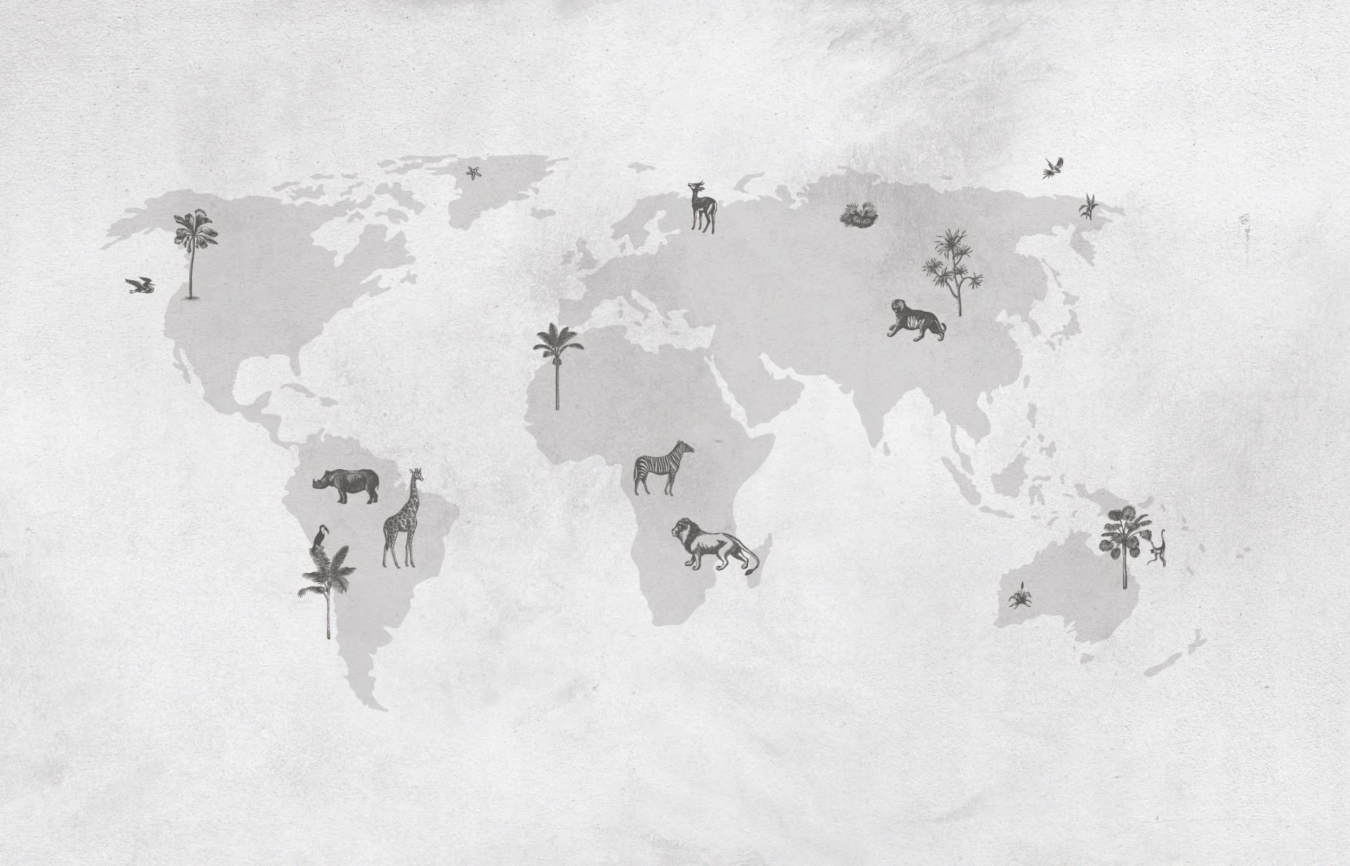 Mapa del mundo en gris PapelPintado.com